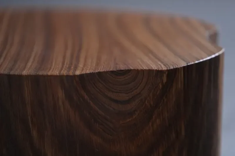 Strongest Wood in the World | Top 10 Hardest Woods Ranked