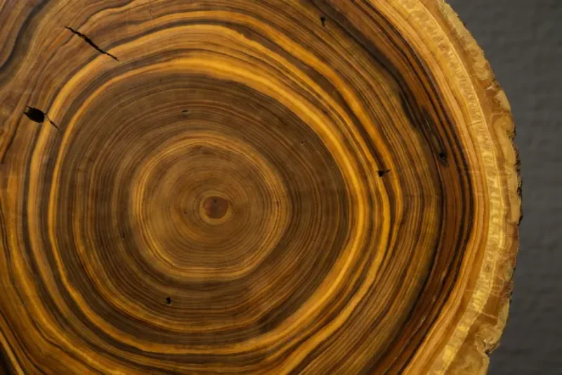 Strongest Wood in the World | Top 10 Hardest Woods Ranked