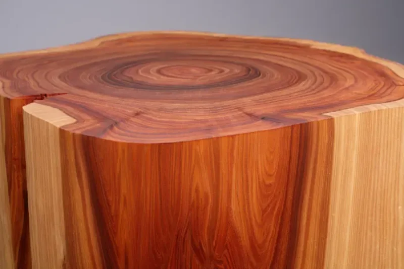 Strongest Wood in the World | Top 10 Hardest Woods Ranked