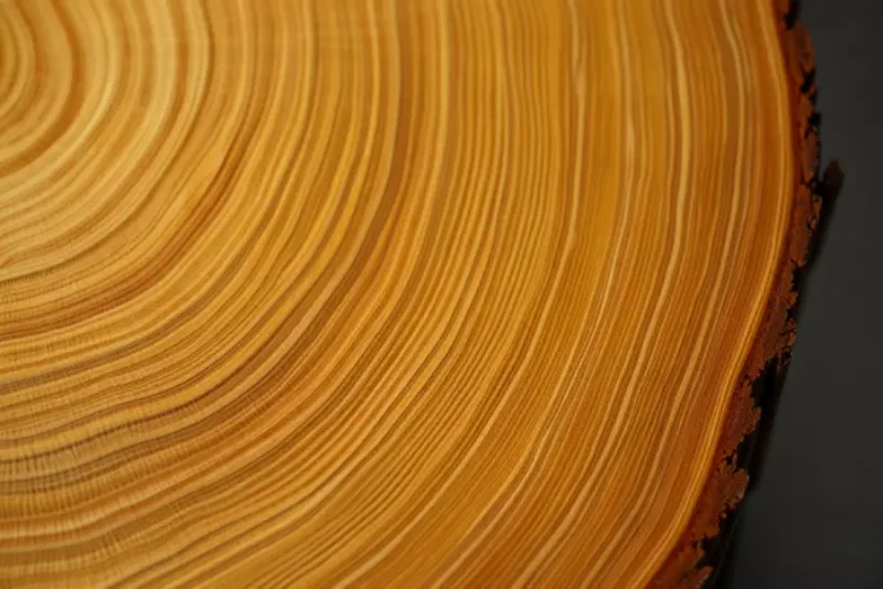 Strongest Wood in the World | Top 10 Hardest Woods Ranked